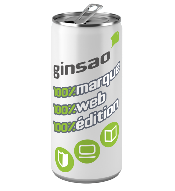 Rebranding marque, lifting logo - Nouveau logo Verifavia - Ginsao