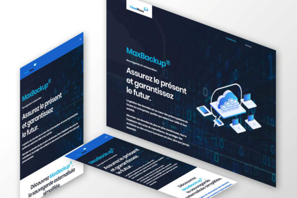 Site one page : site 1 page pour lancer un produit ou service - ginsao web